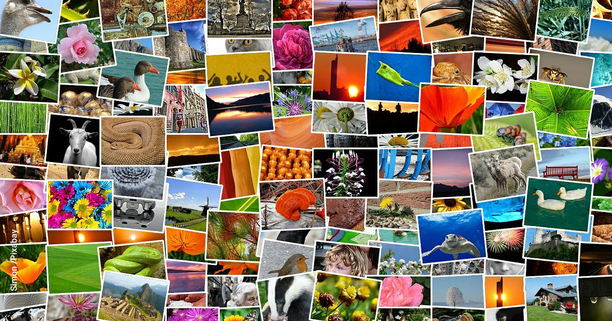 Stockbilder und SEO. Darum sind Stockfotos gut für deine Website!